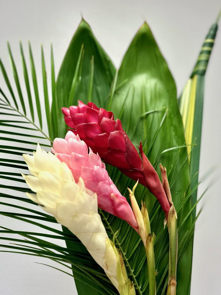 Mixed Ginger Bouquet | National Orchids Inc